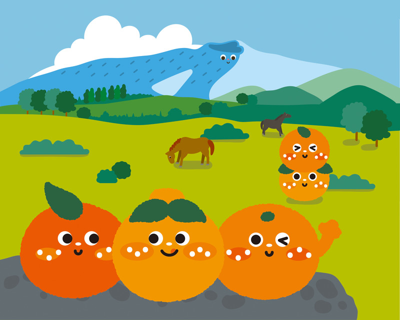 제주 귤 캐릭터 일러스트 및 패키지 디자인 by glownote - 노트폴리오